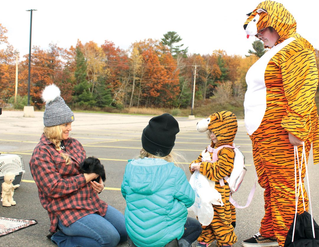 Tigers and rabbits for Halloween | News, Sports, Jobs - The Daily News